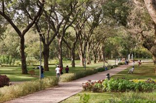National Park of Mali, Bamako Mali – Francis Kéré – Iwan Baan