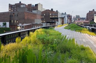 The Highline, New York - Diller Scofidio + Renfro, Field Operations ...