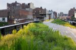 The Highline, New York – James Corner Field Operations, Diller Scofidio ...