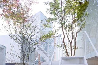 Sumika House, Tokyo – Sou Fujimoto – Iwan Baan