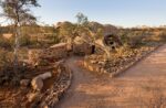 Mapungubwe Interpretation Centre, Limpopo South Africa - Peter Rich ...