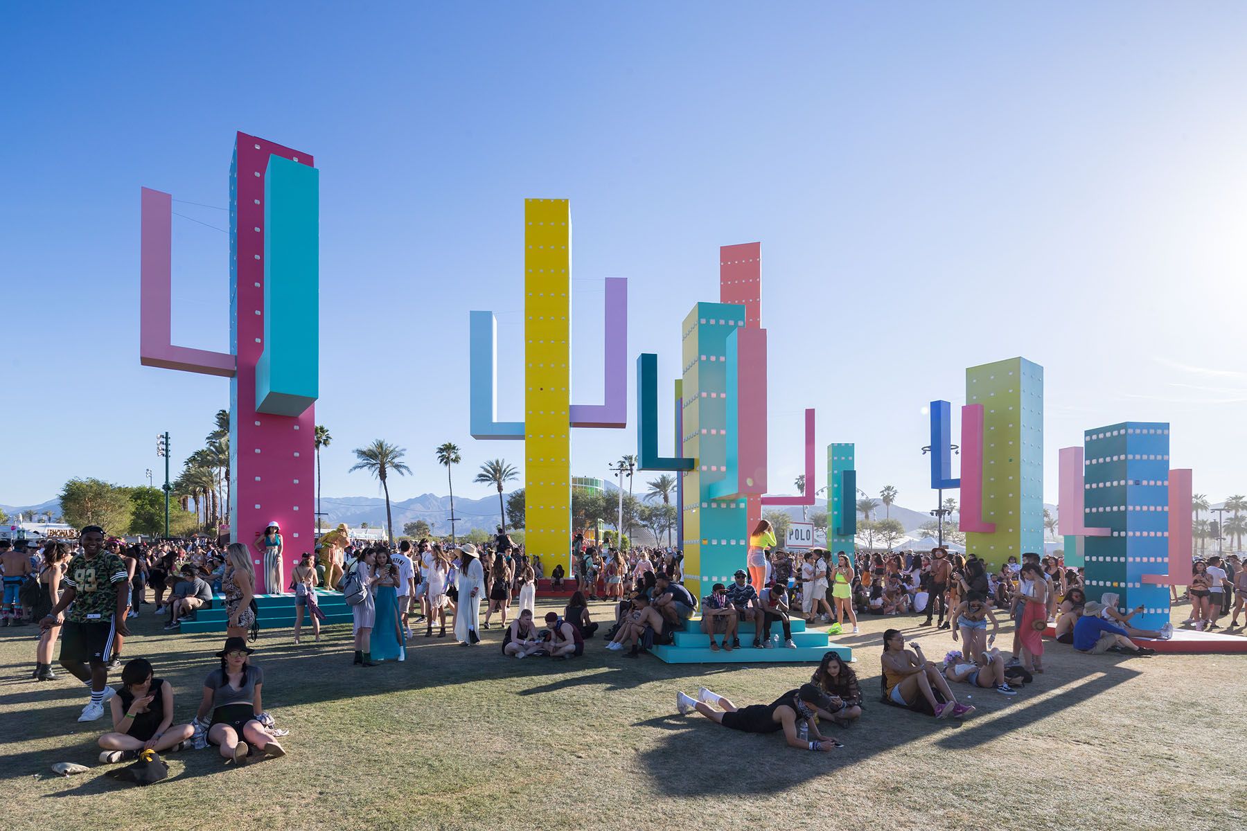 Colossal Cacti Coachella – Andrew Kovacs – Iwan Baan