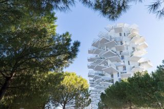Arbre Blanc – Sou Fujimoto – Iwan Baan