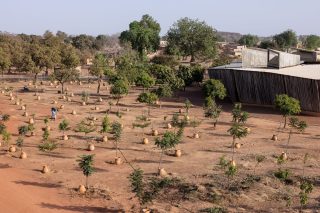 Burkina Institute of Technology BIT Koudougou - Francis Kéré | Iwan Baan