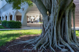 IBM Boca Raton – Marcel Breuer and Thomas Gatje – Iwan Baan