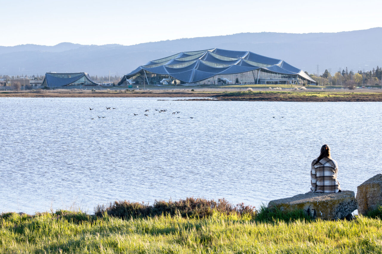 Google Bay View – BIG – Heatherwick – Iwan Baan