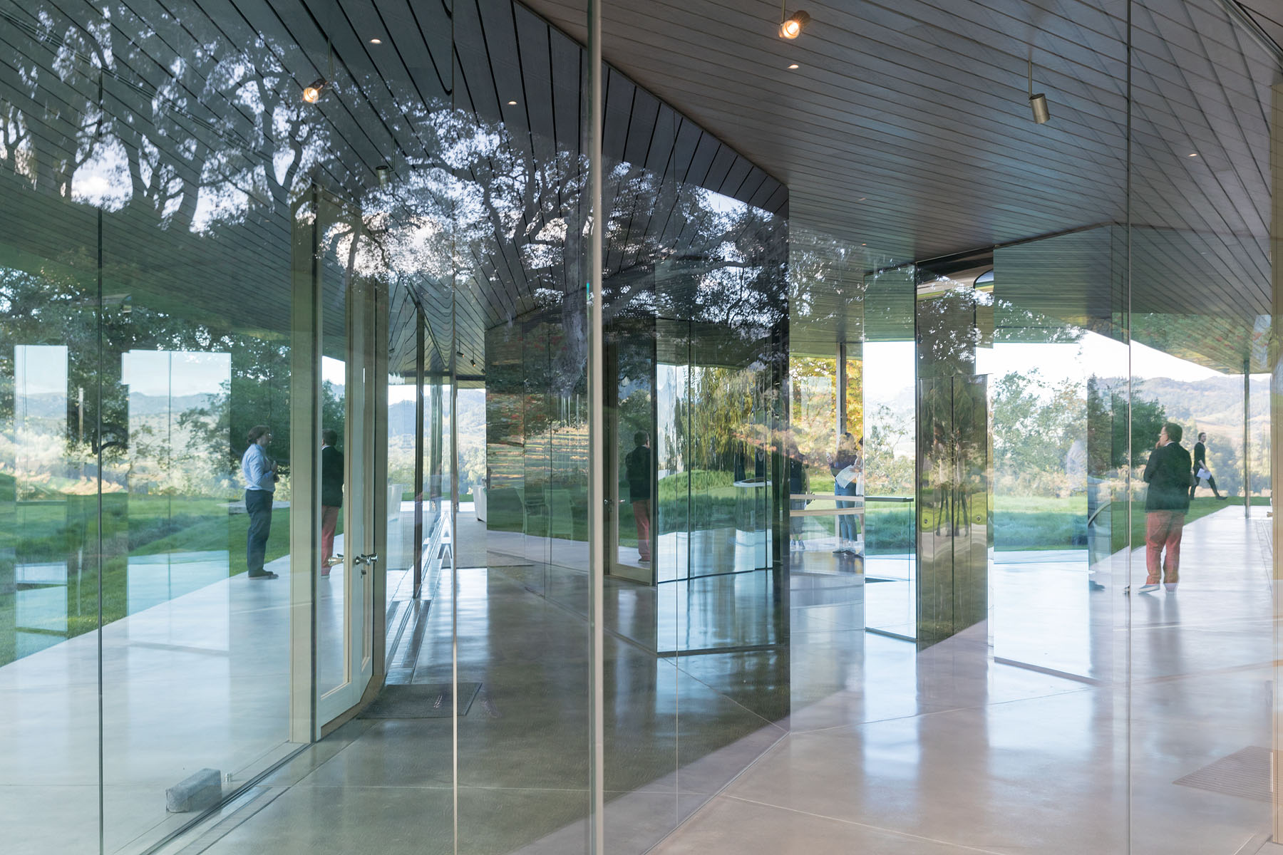 Kramlich Residence – Herzog & de Meuron – Iwan Baan