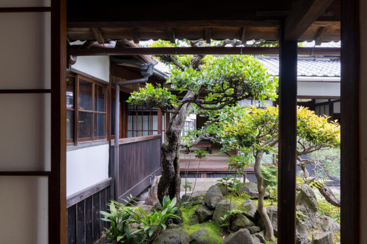 The Naoshima Plan “The Water” – Hiroshi Sambuichi – Iwan Baan